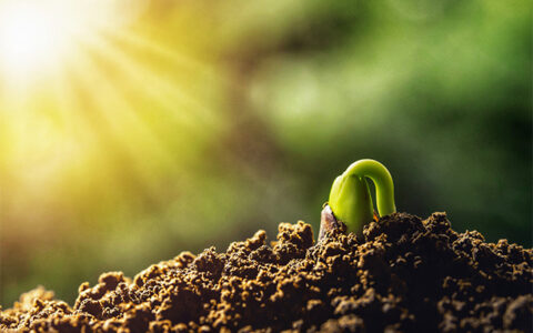 Humegro Green Nitrogen - Agri PAC World